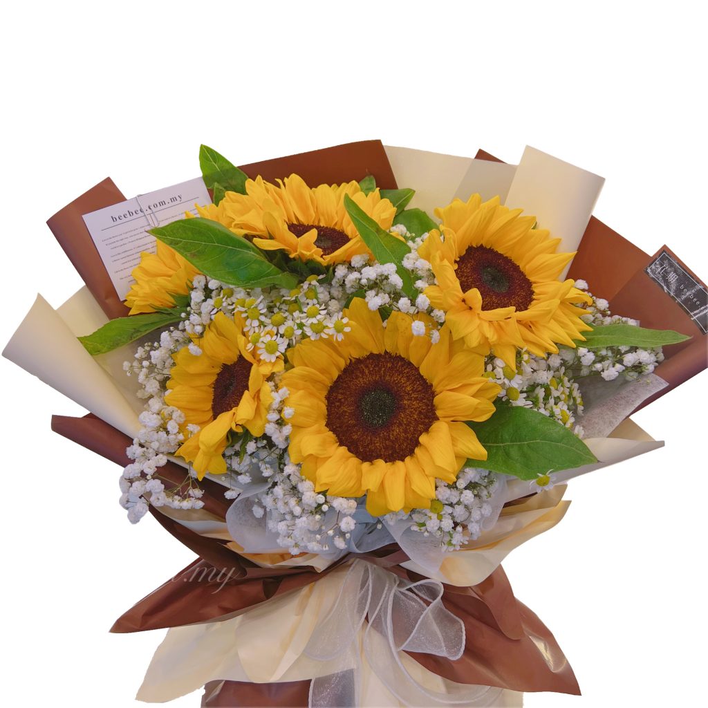 Ellie BB062 – BEEBEE SDN BHD