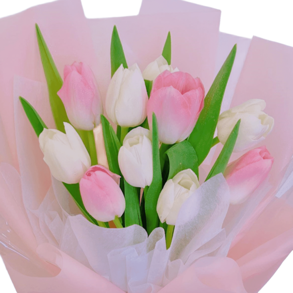 Kate BB163 – BEEBEE FLORIST Kate BB163 – BEEBEE FLORIST